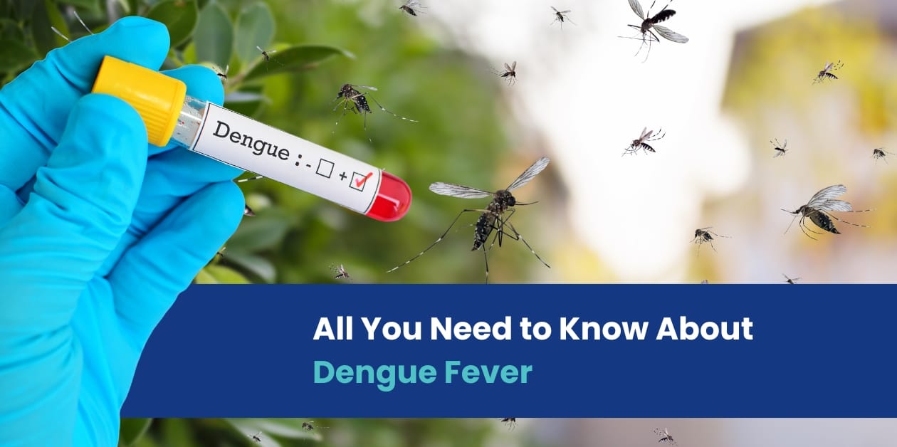 All You Need to Know About Dengue Fever: Symptoms of dengue fever ...